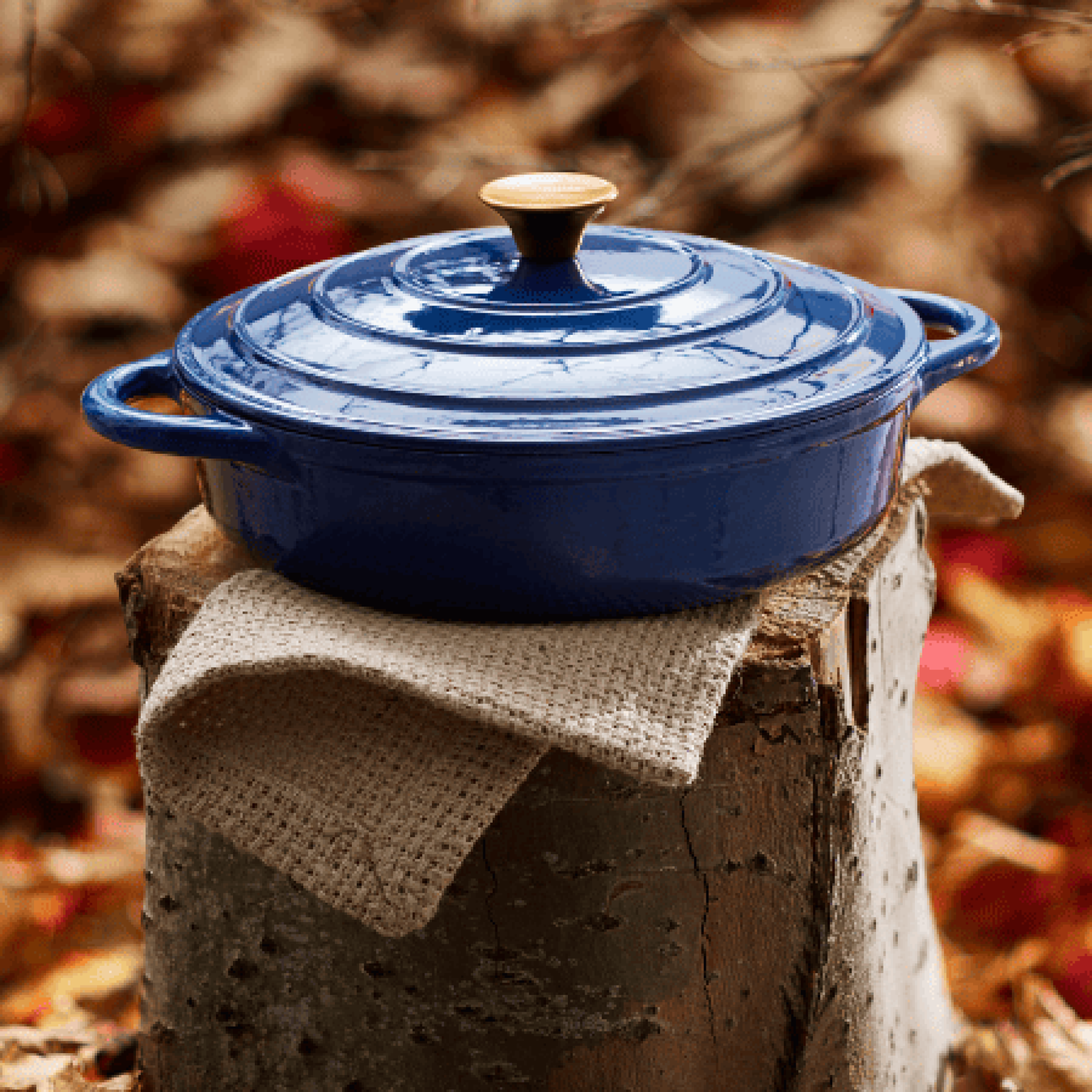 Homewares | Cooking Food Preparation | Tower Housewares